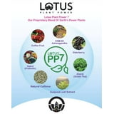 Lotus Plant Energy White Lotus 5:1 Energy Concentrate, 64 fl. oz ...