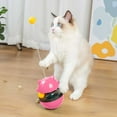 Sure Feed Microchip Feeder Soft Snowballs for inside Cat Wad Dog Pig ...