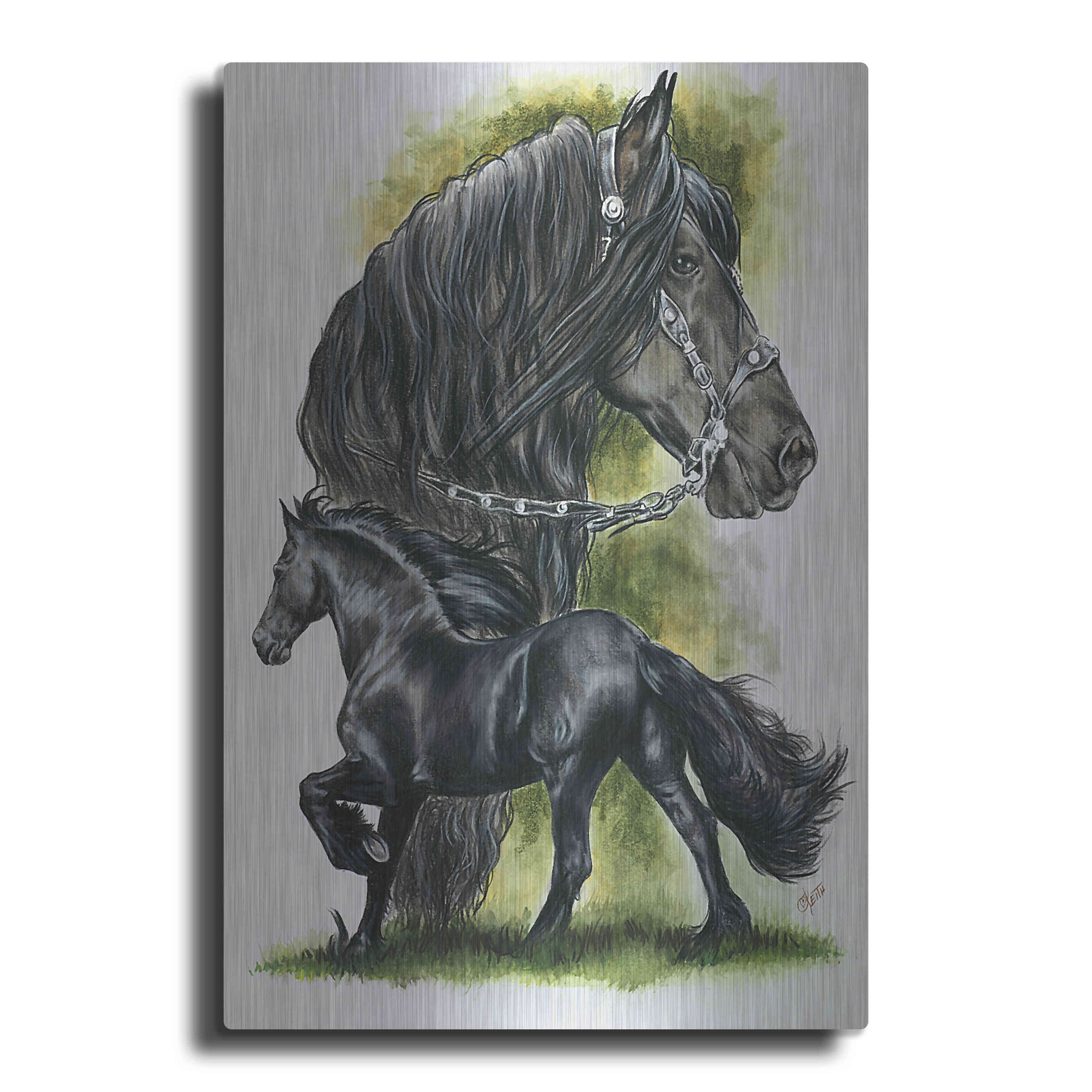 Luxe Metal Art 'Fresian' by Barbara Keith, Metal Wall Art, 12"x16 ...