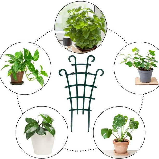 Indoor Trellis DIY Climbing Trellis Mini Plant Trellis Garden Trellis ...