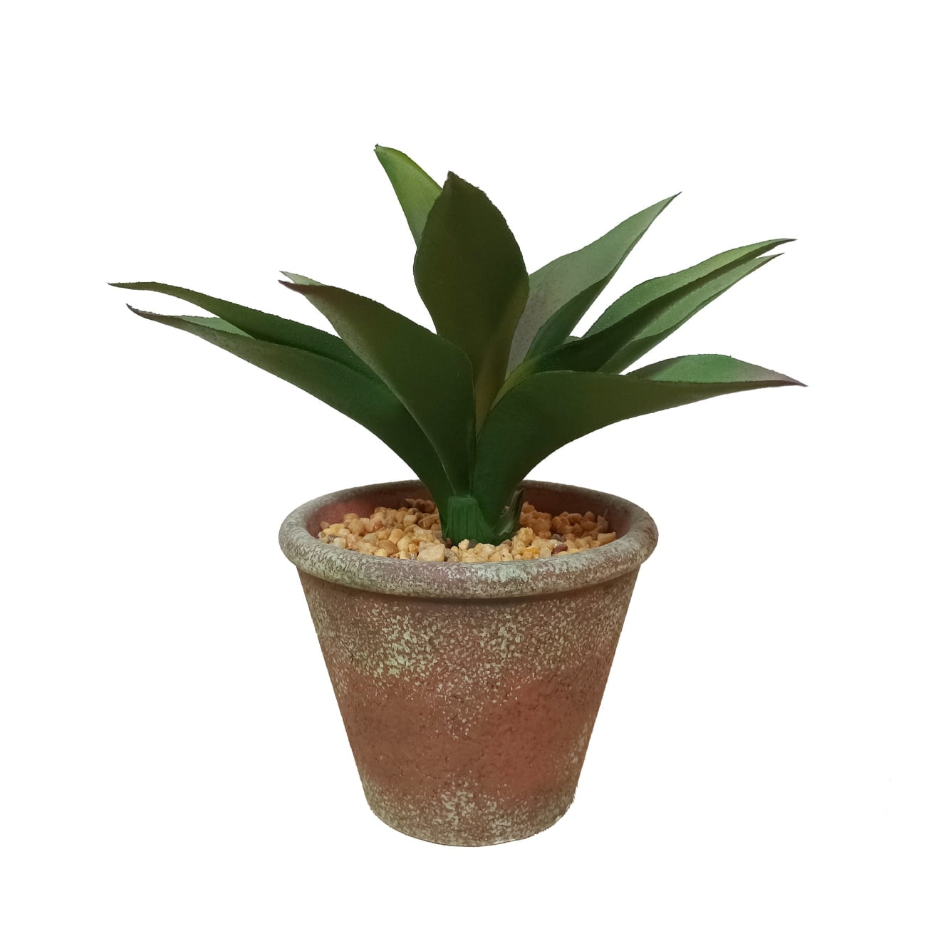 Planta Decorativa Agave Verde con Maceta Color Café | Walmart en línea