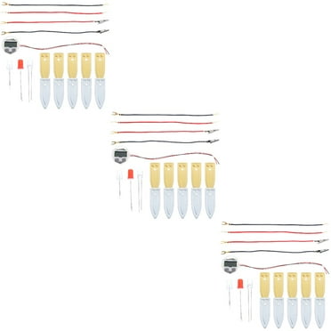 Biplut Fruit Battery Light Diode Generator Science Experiment Kit ...