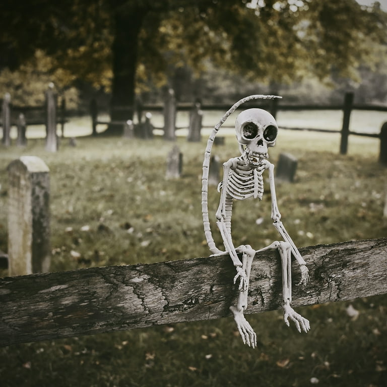 Scary Halloween Skeleton