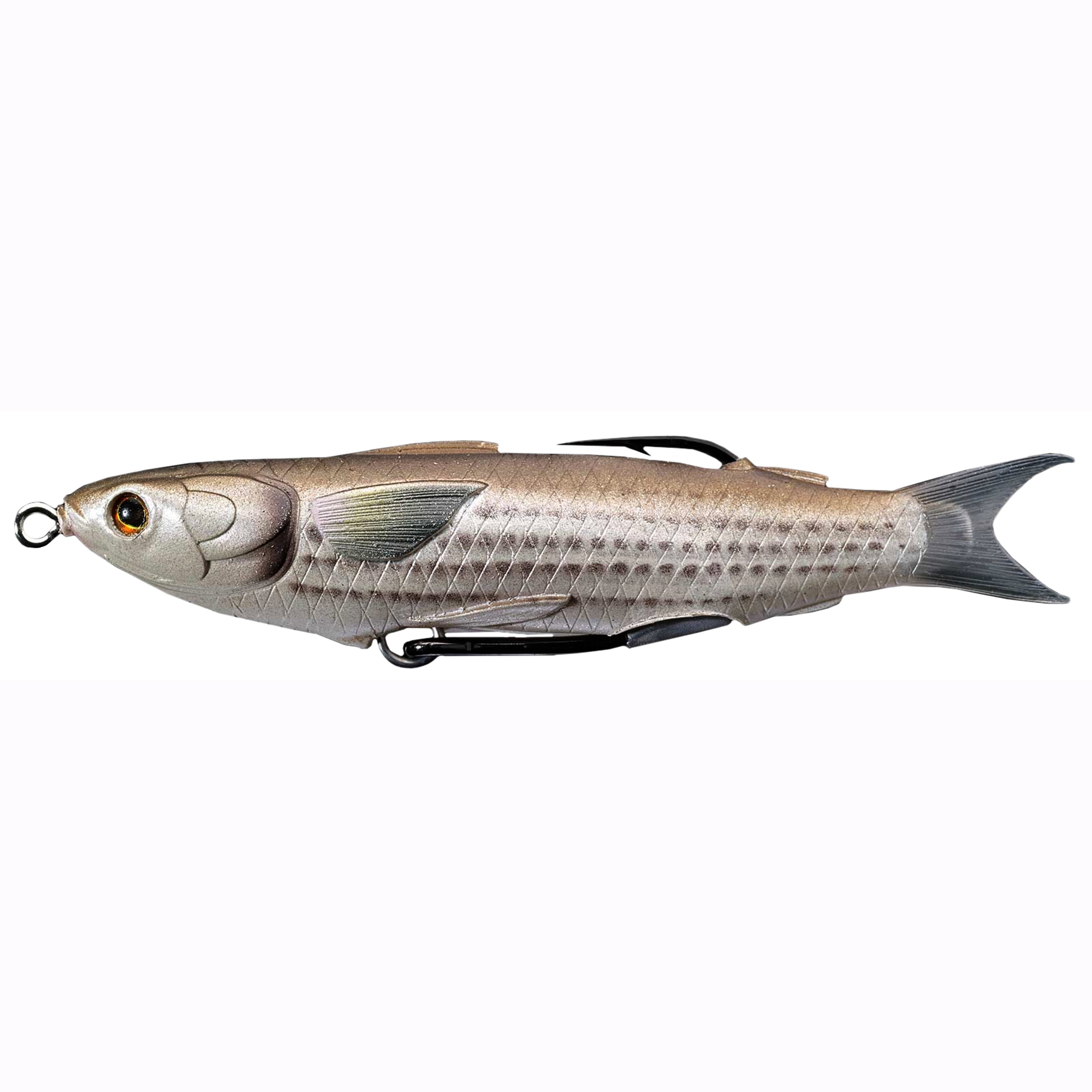 LiveTarget Lures Mullet Hollow Body Lure - Walmart.com