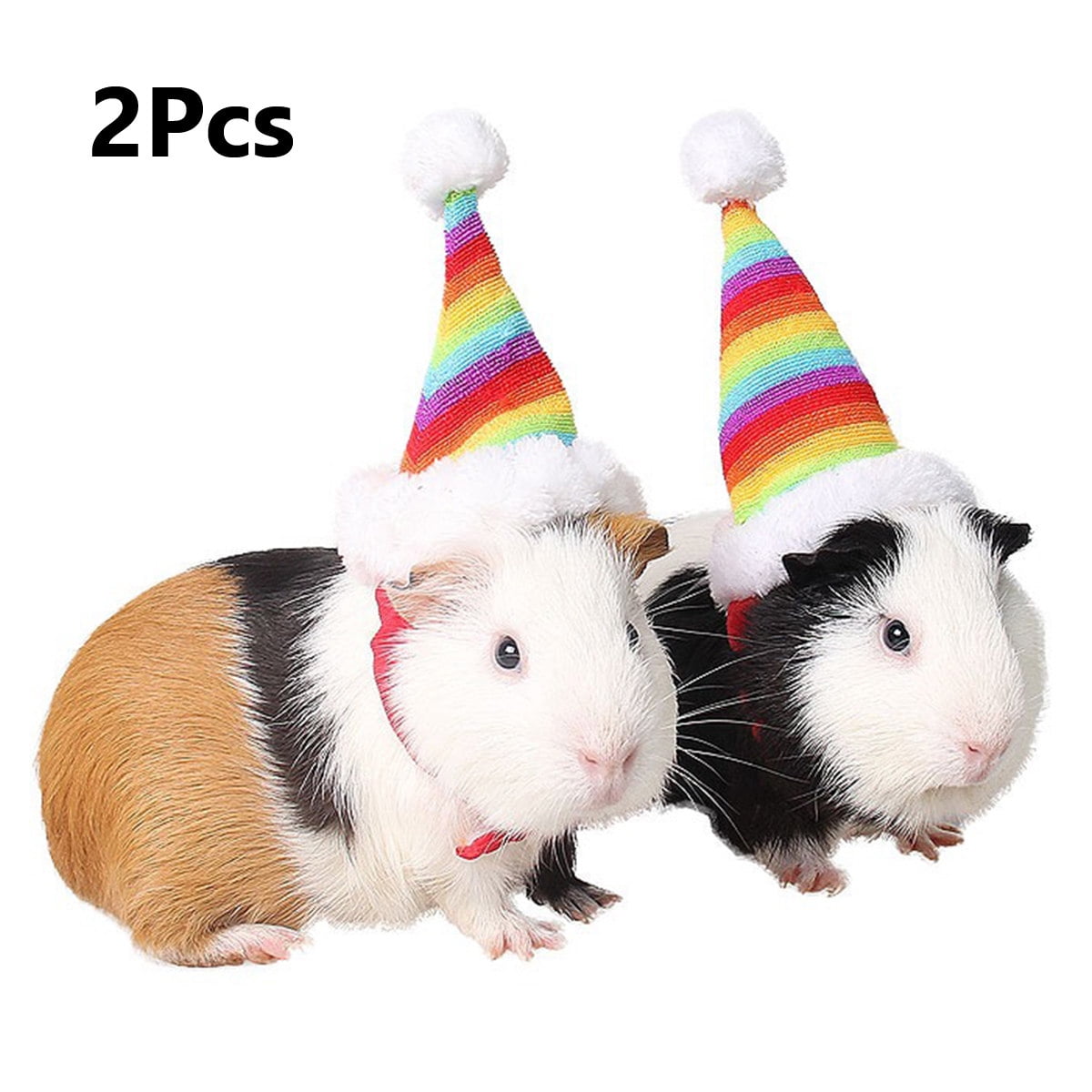 Cute Pet Rats Grooming