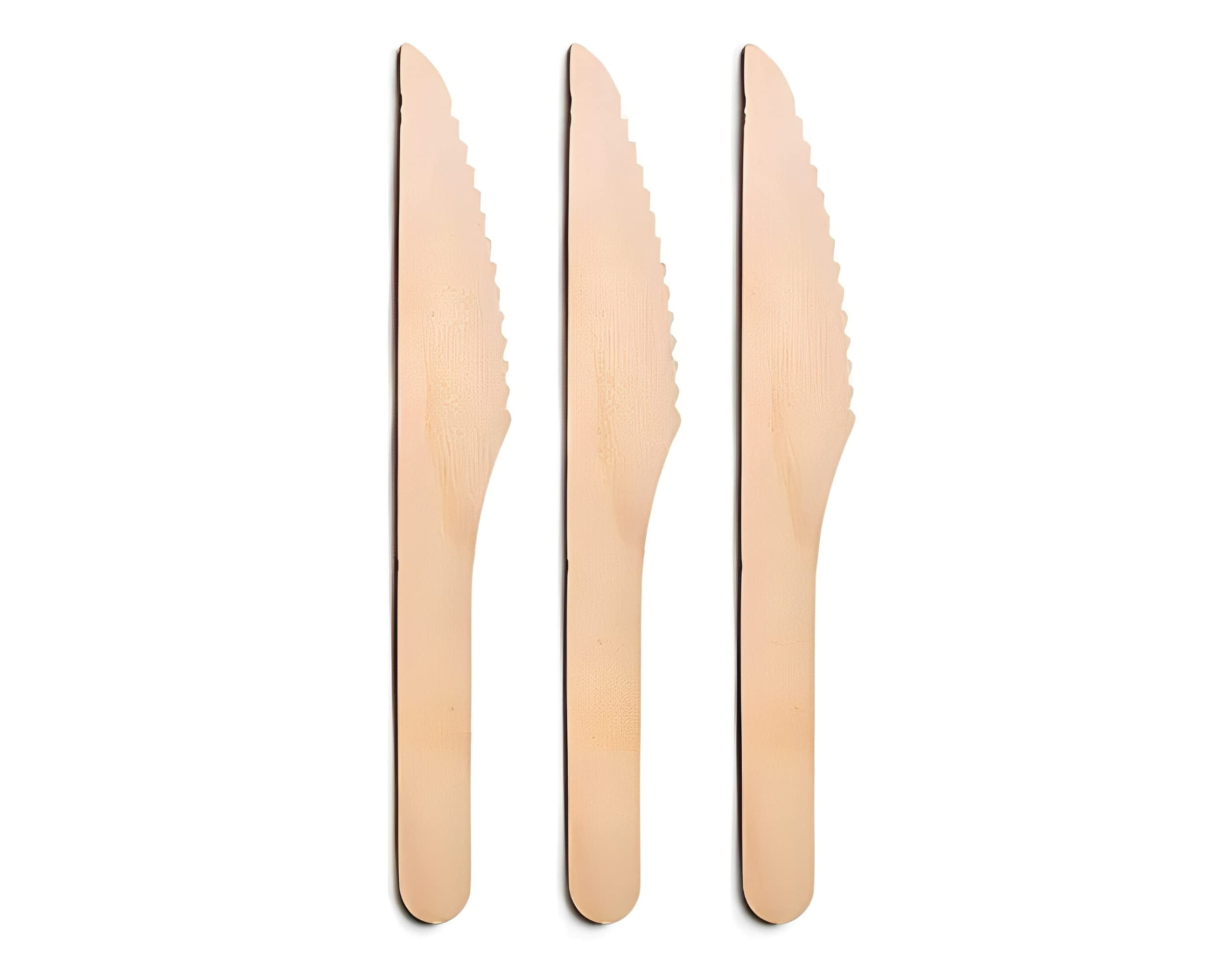 ICO Compostable Knives, [100 count] Wooden Knives, Biodegradable Knives ...