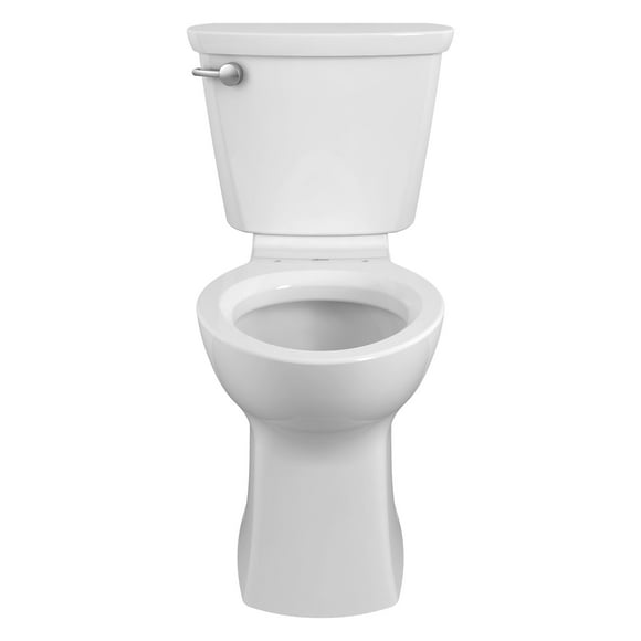 10 Inch Rough Toilet