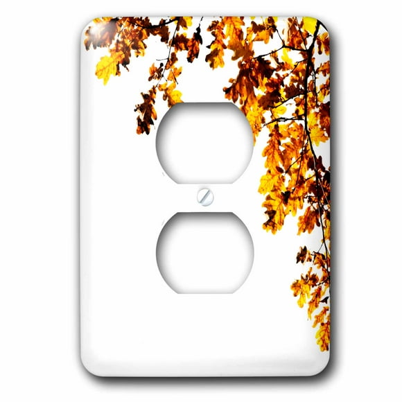 Custom Outlet Covers