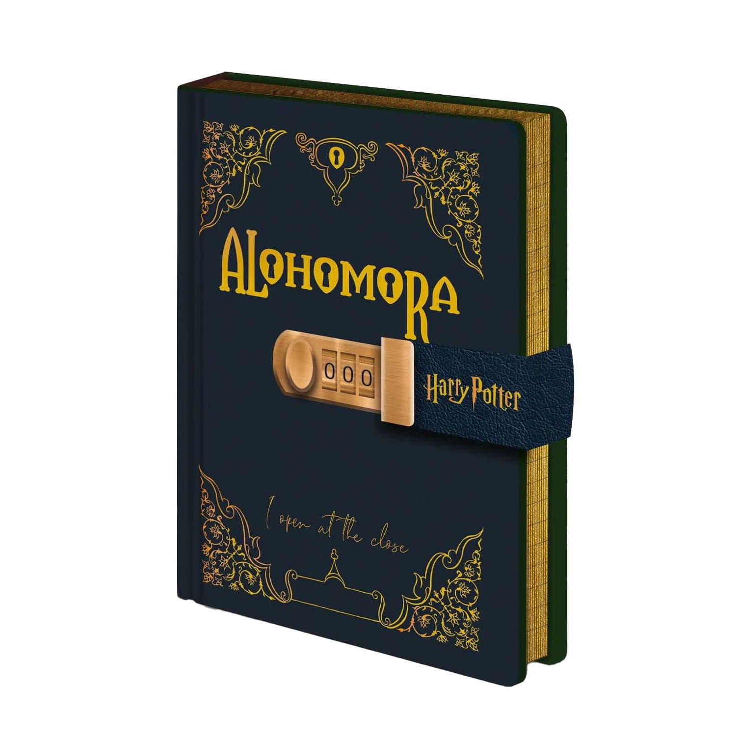 Click here for Harry Potter Alohomora Lockable A5 Diary One Size prices