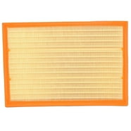 Hastings Filters - Air Element Af899 - Walmart.com