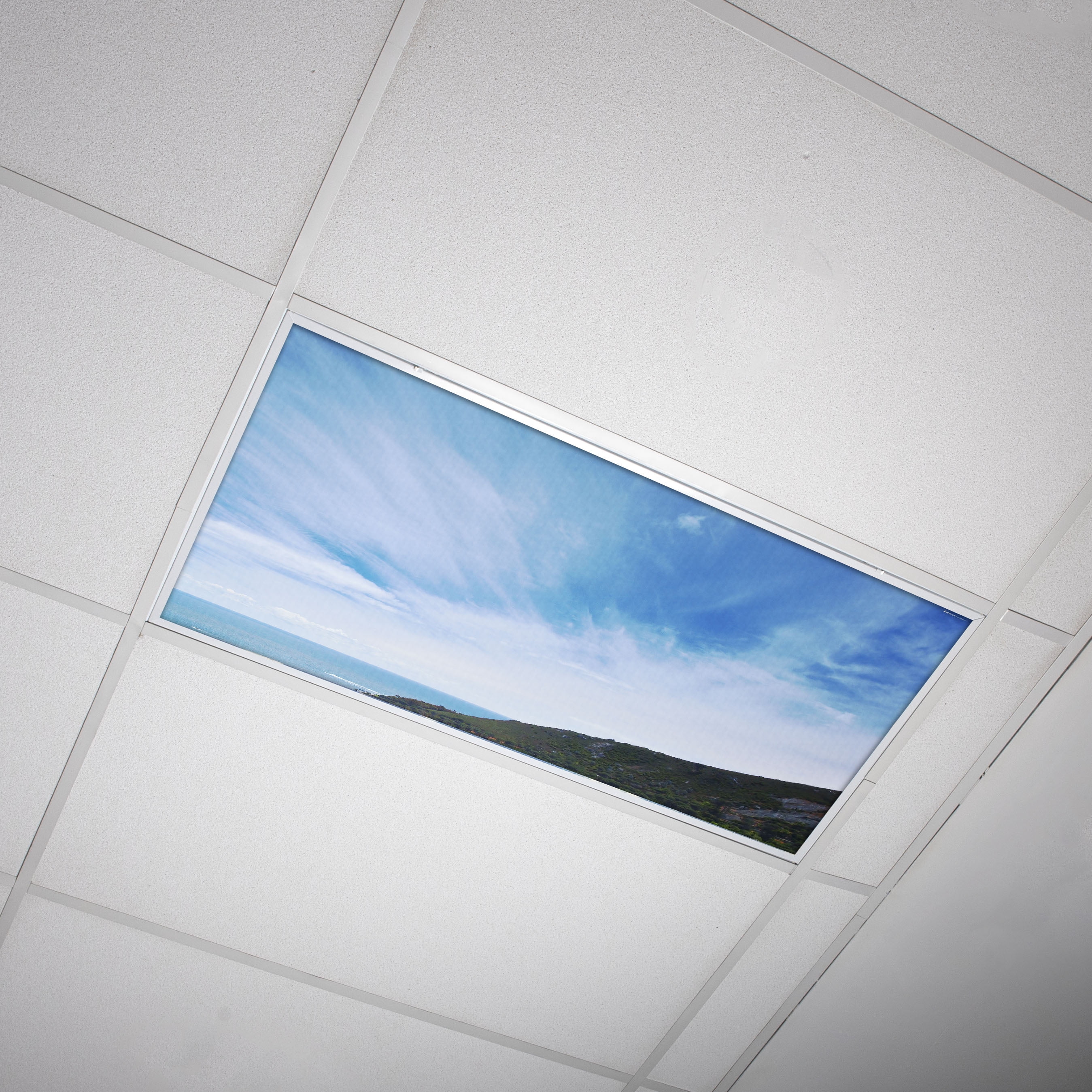 Octo Lights - Fluorescent Light Covers - 2x4 Flexible Ceiling Light ...