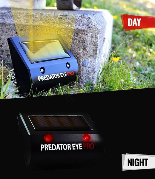 Predator Eye PRO, Solar Powered Ultrasonic Predator Light Animal ...