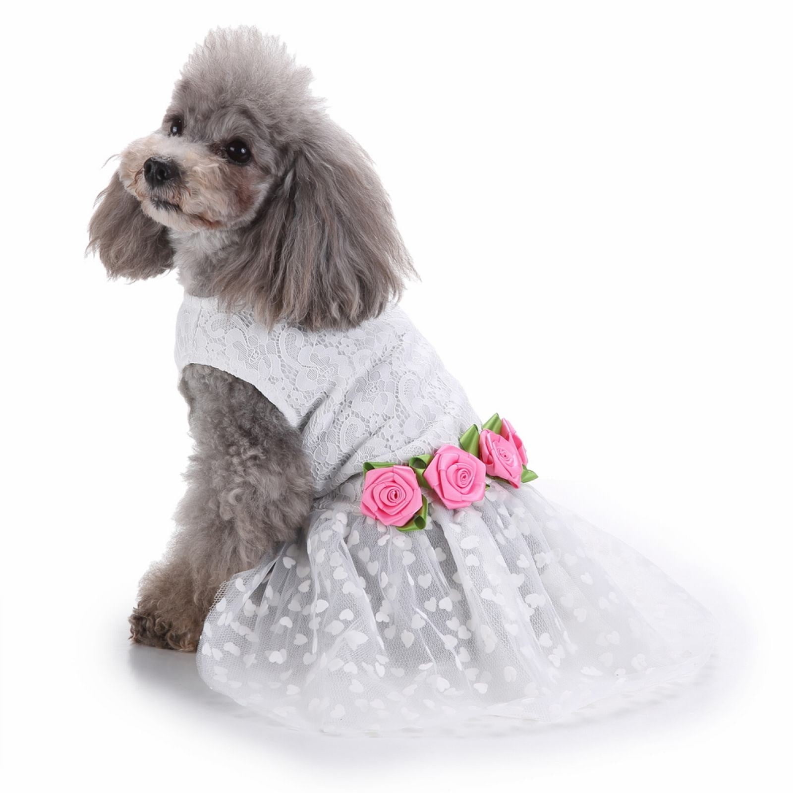 Click here for Sifdseng Dog Dresses For Small Dogs Girl Summer Cu... prices