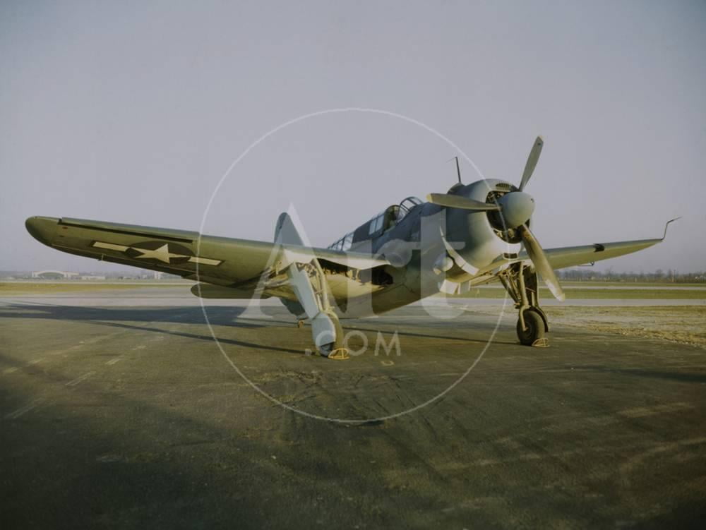 Navy CurtissWright Sb2c Helldiver on a Tarmac, Unframed Photographic ...