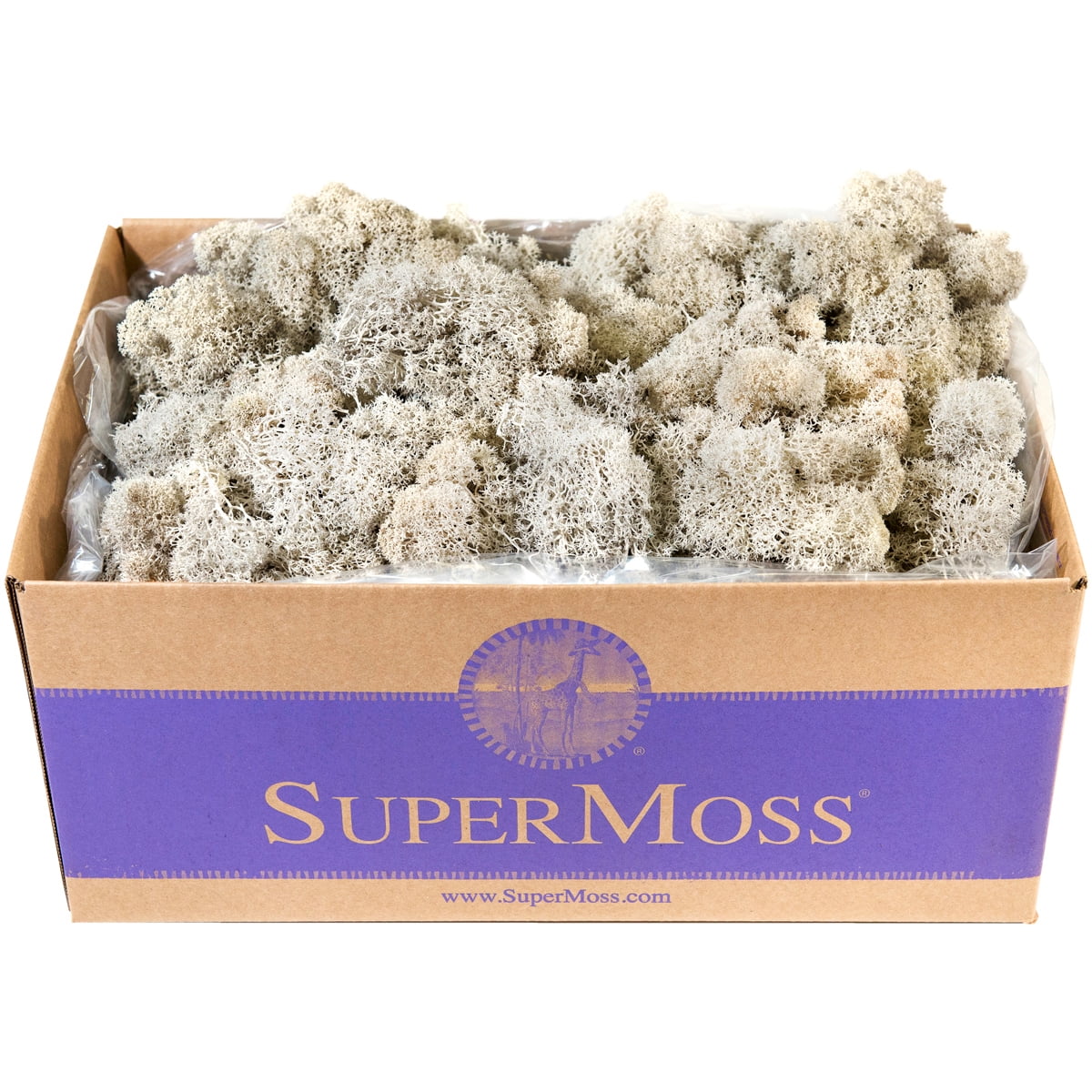 Preserved Reindeer Moss 3lb - Natural - Walmart.com