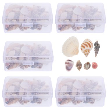 Decorative Sea shells Assortment Vase Filler, 20-piece - Walmart.com