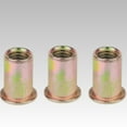 100Pcs Carbon Steel Rivnut Flat heads Threaded Rivets Insert Nutsert ...