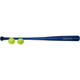 Blitzball Plastic Bat and 2 Ball Combo Set – Backyard Baseball Training ...