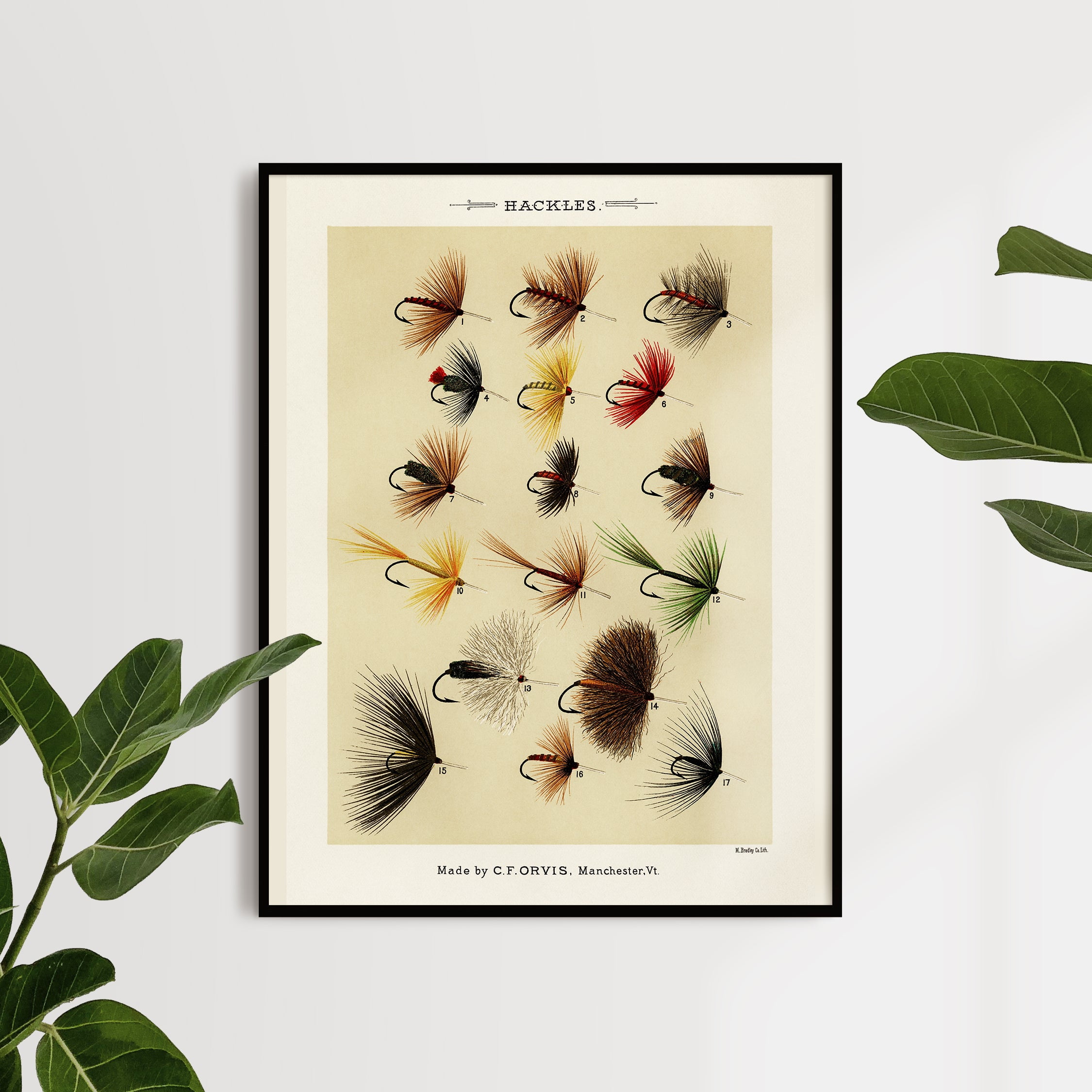 Hackles Digitally enhanced from our own original 1892 Edition. | Mary ...