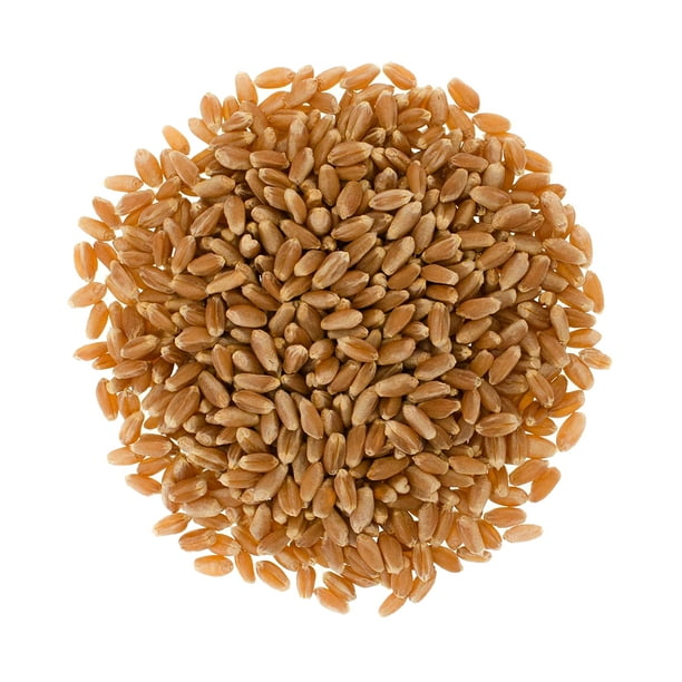 Hard Red Spring Wheat Berries • 25 lbs • Palouse Brand • USA Grown ...