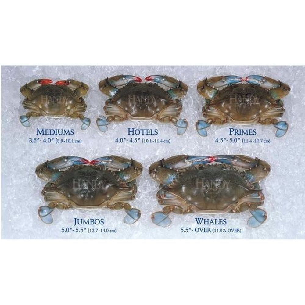 Handy Soft Shell Jumbo Crab, 3.5 Ounce -- 24 per case - Walmart.com