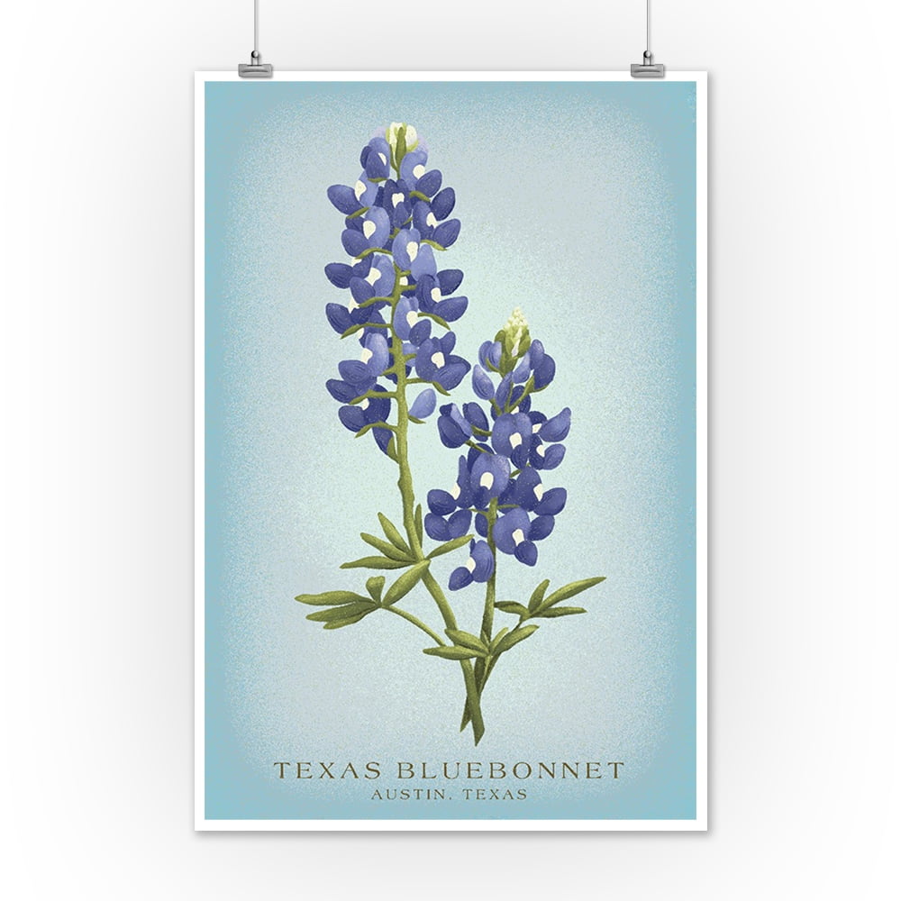 Bluebonnets I Can Print