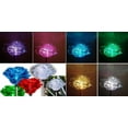 Solar Wholesale 1047-2 Solaration Rose Solar Lights, Pack of 2 ...
