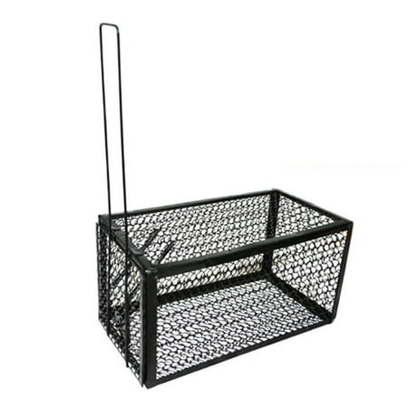Home Mouse Trap Rodent Trap Catch Cage Cage Trap Mouse Trap Stainless ...