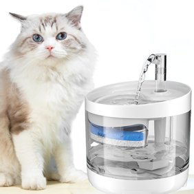 Electronic Pet Water Fountain and Dish - Automatic for Cats Dogs ...