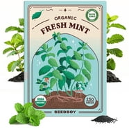 Heirloom Peppermint Seeds, Non-GMO, 100 Mint Leaves Planting Seeds ...