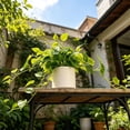 Artificial Pothos Plants with Pots, Realistic Hanging Fake Greenery in ...