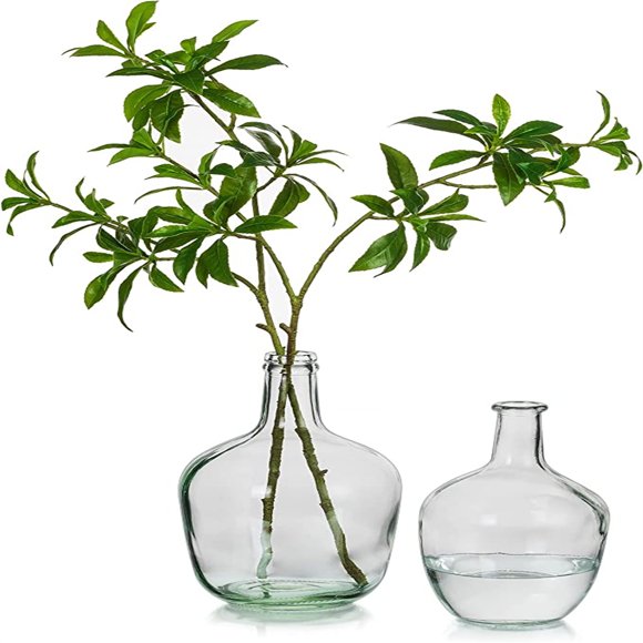 Large Clear Glass Vase