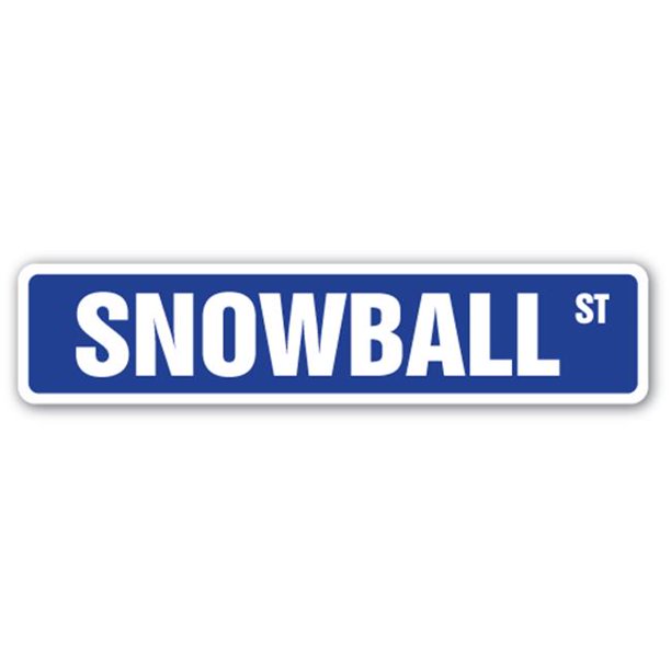 SignMission SS-Snowball 4 x 18 in. Snowball Street Sign - Fights ...