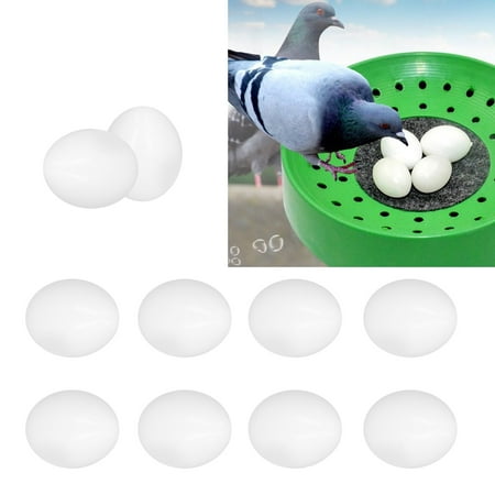 Octpeak Fake Eggs,50 Pcs False Eggs Plastic Solid Simulation Eggs For ...