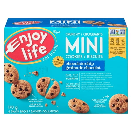 ENJOY LIFE Gluten Free Mini Crunchy Chocolate Chip Cookies | Walmart Canada
