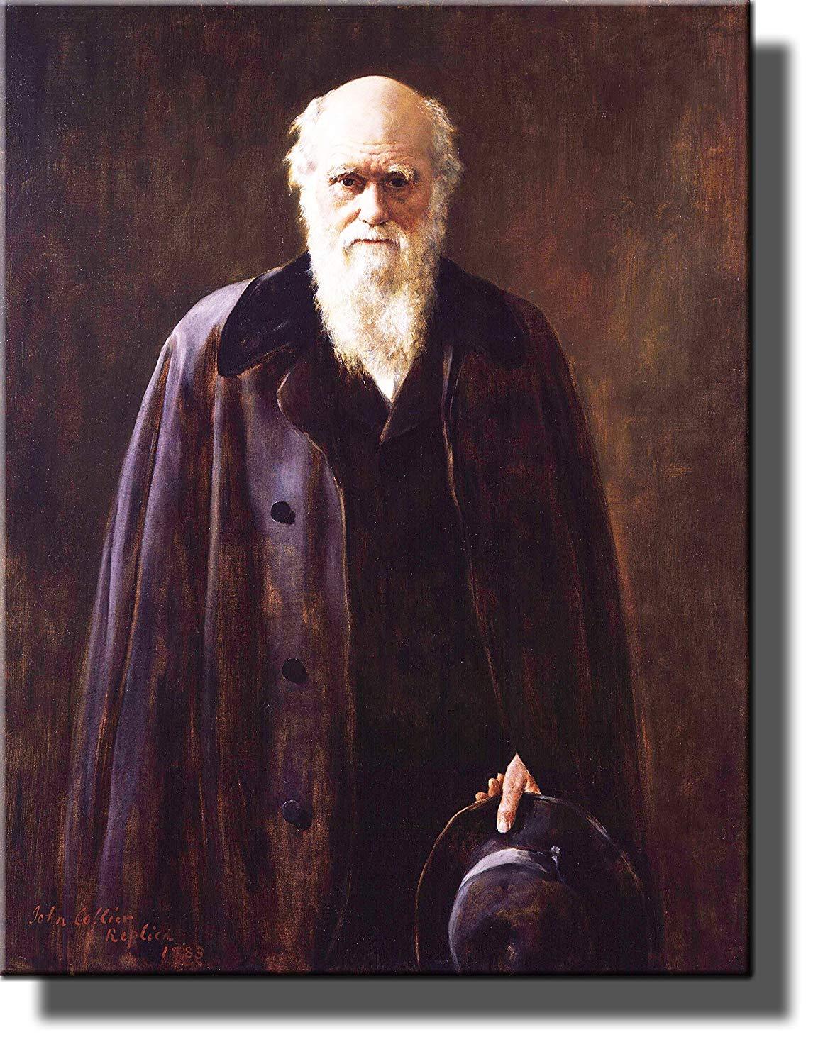 Charles Darwin Portrait Picture on Stretched Canvas, Wall Art Decor ...