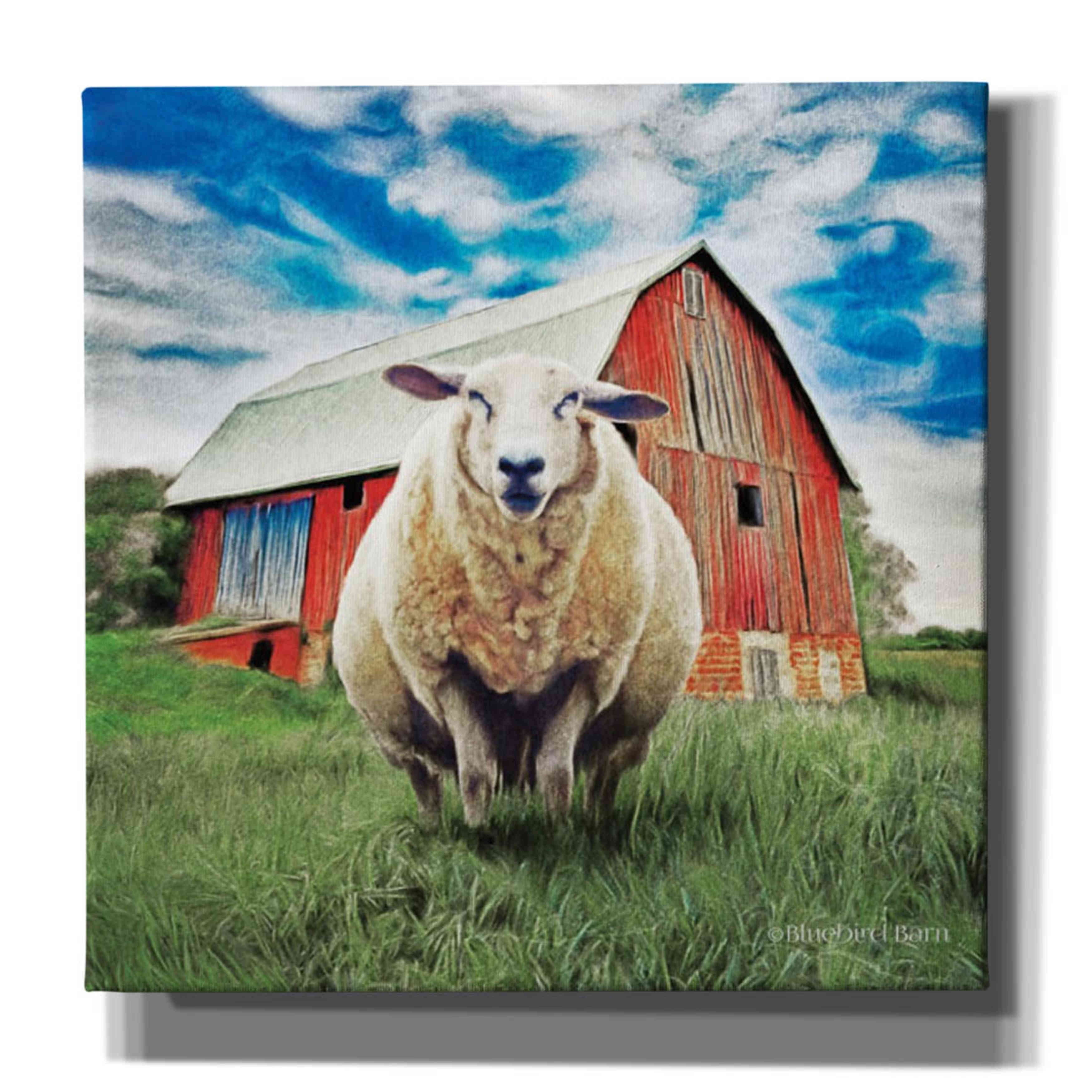 Epic Graffiti 'Sunday Afternoon Sheep Pose' by Bluebird Barn, Canvas ...