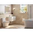 Free Shipping! Ally One-Piece 0.8/1.28 GPF Dual-Flush Elongated Toilet ...