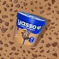 Yasso Coffee Chocolate Chip Frozen Greek Yogurt, 14 fl oz - Walmart.com