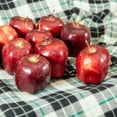 Free Shipping! 5 Gal. Red Delicious Apple Tree - Fresh Fruit - Cold ...