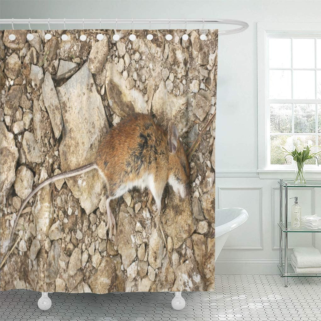 CYNLON Brown Agrarius Dead Field Mouse in The Country Road Bathroom ...