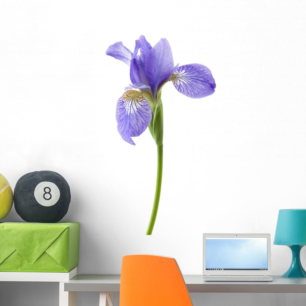 Iris Wall Decal by Wallmonkeys Peel and Stick Graphic (36 in H x 24 in ...