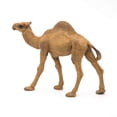 Papo Dromedary Figure, Multicolor - Walmart.com