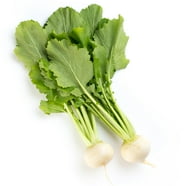 Sango Purple Radish Microgreen Seeds - 5 Lb Bulk - Non-GMO Sprouting ...