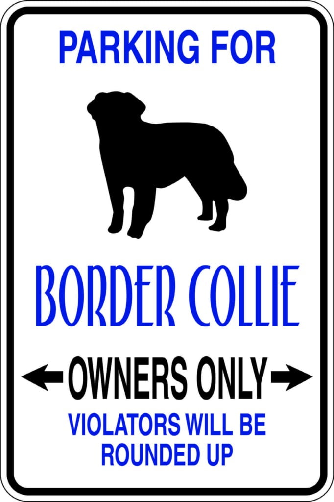 Do It Yourself Wall Decal Sticker Parking For Border Parking Signs Size ...