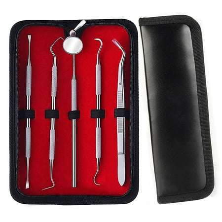 Dental Oral Hygiene Kit 5 Tools Deep Cleaning Scaler Teeth Care Set ...