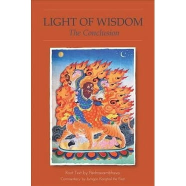 The Wisdom Chapter : Jamgön Mipham's Commentary on the Ninth Chapter of The Way of the ...