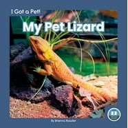 Tadpole to Frog (Board Book) - Walmart.com