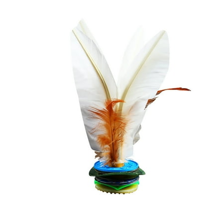 TB&W Kick Shuttlecock Portable Goose Feather Shuttlecock Rubber for ...