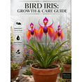50-150pcs，Bird Iris seeds, a rare and beautiful variety, suitable for ...